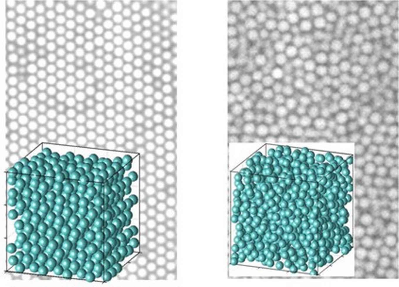 UvA physicists report direct measurement of the free energy of ...