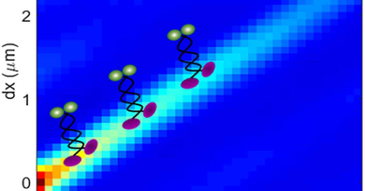 A cellular traffic jam - IoP - University of Amsterdam